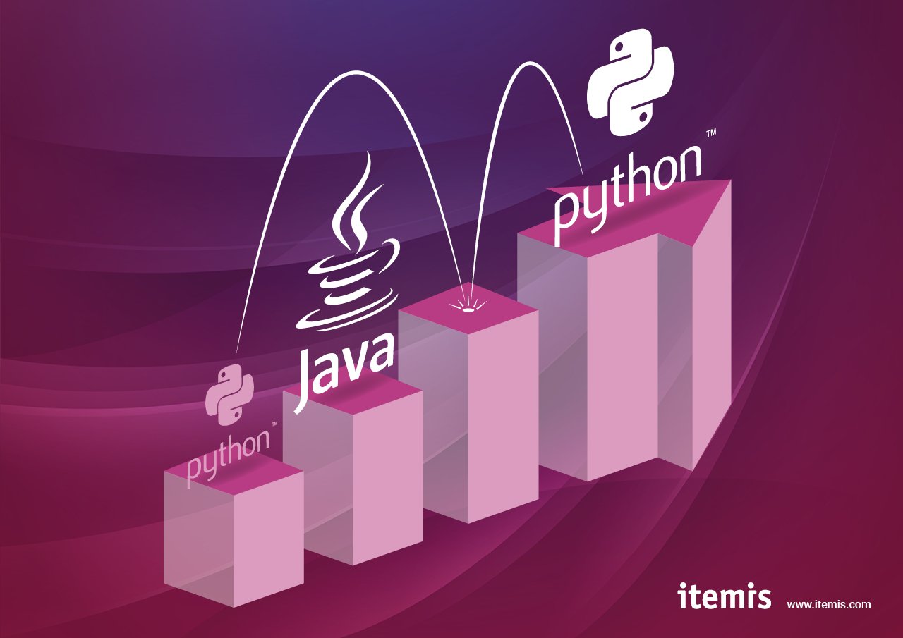 The rise of the Python