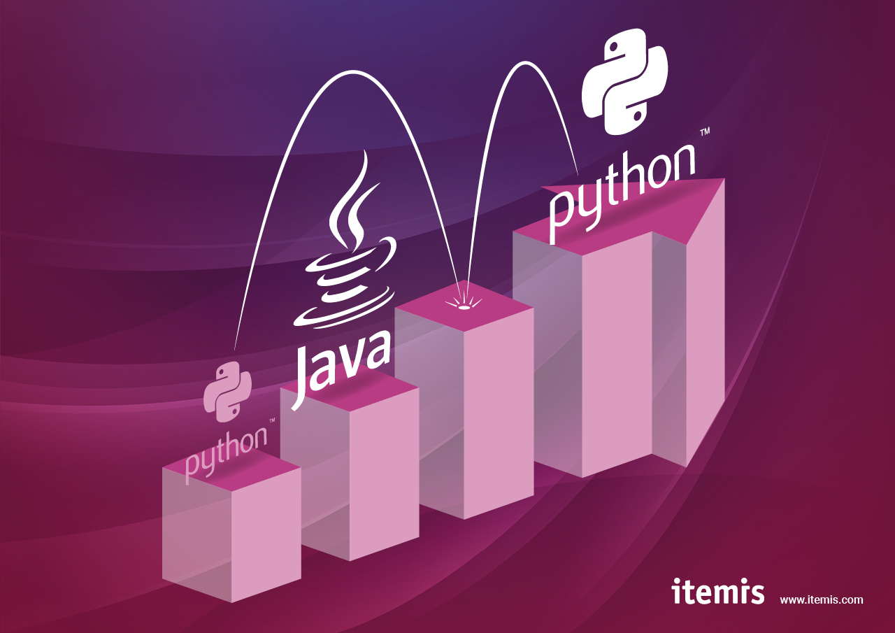 The rise of the Python